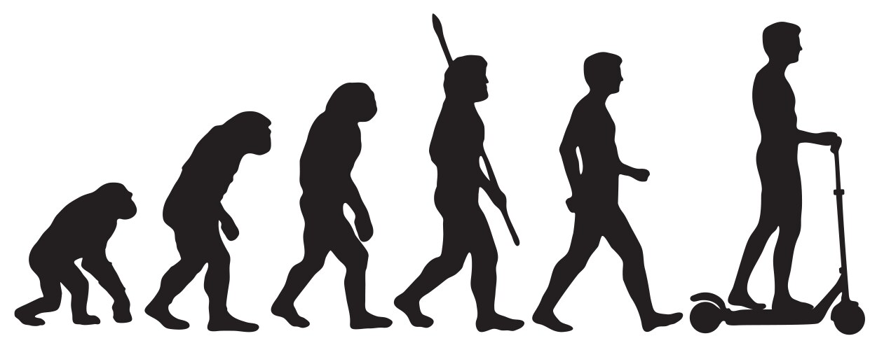 Human Evolution Timeline Royalty Free Vector Image