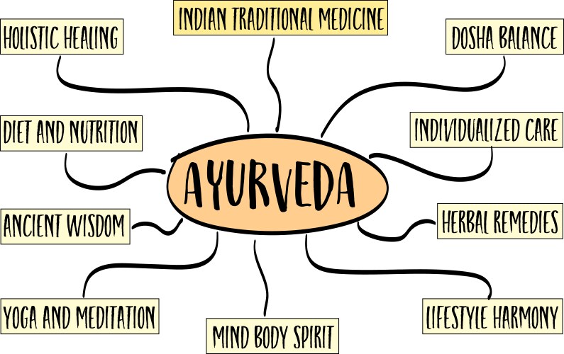 Ayurveda traditional indian medicine system Vector Image