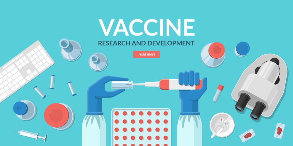 Frontend and backend software development Vector Image