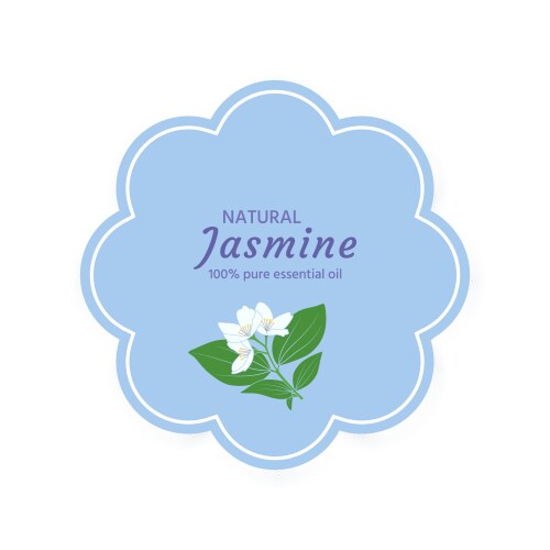 Jasmine flowers banner Royalty Free Vector Image