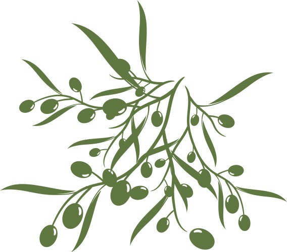 Olives icon set greek olive symbol in black Vector Image