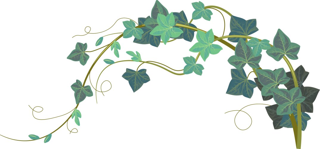 Creeper Plant Vector Images (over 2,100)