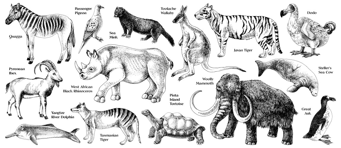 Set of hand drawn extinct animals Royalty Free Vector Image