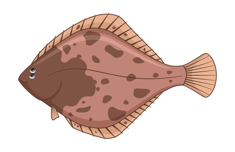 Flounder fish cartoon Royalty Free Vector Image