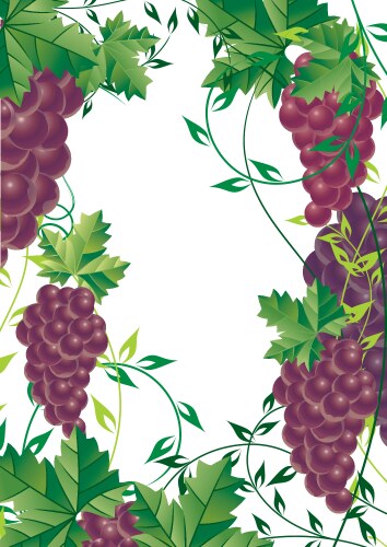 Grape frame Royalty Free Vector Image - VectorStock