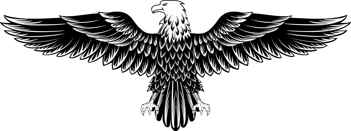 Eagle Vector Images (over 91,000)