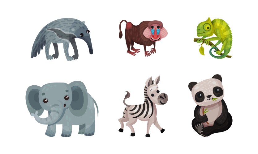 African animals with panda bear and lion Vector Image