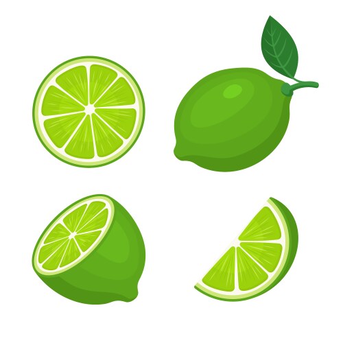 Lime Vector Images (over 220,000)