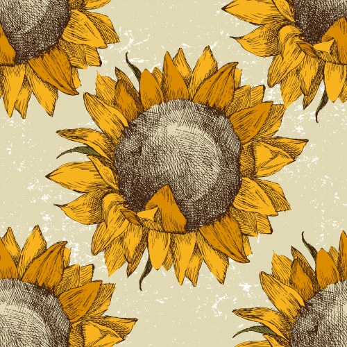 Sunflower Vector Images (over 53,000)