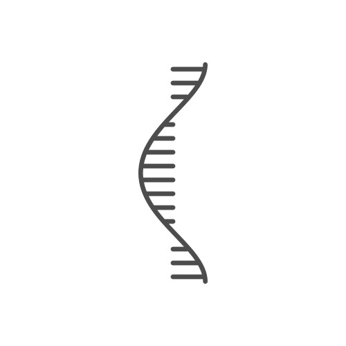 Dna and rna structure Royalty Free Vector Image