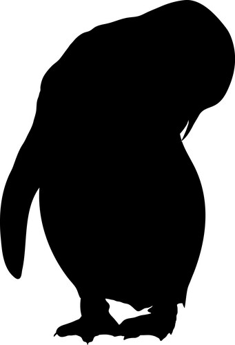 Penguin Side View Vector Images (78)