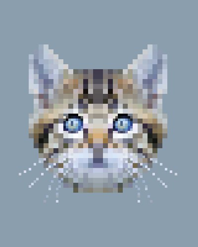 Cat Face Vector Images (over 68,000)