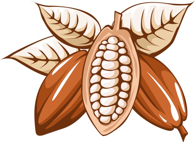 Cocoa Vector Images (over 50,000)