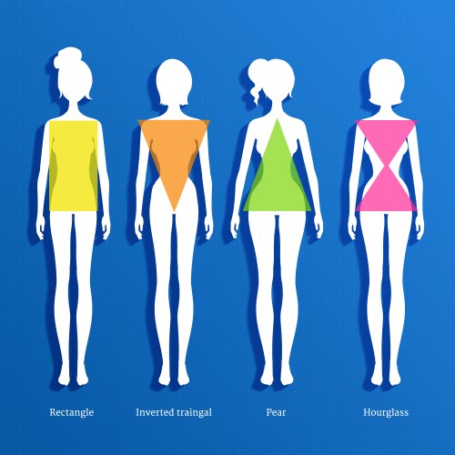 Different body shape types Royalty Free Vector Image