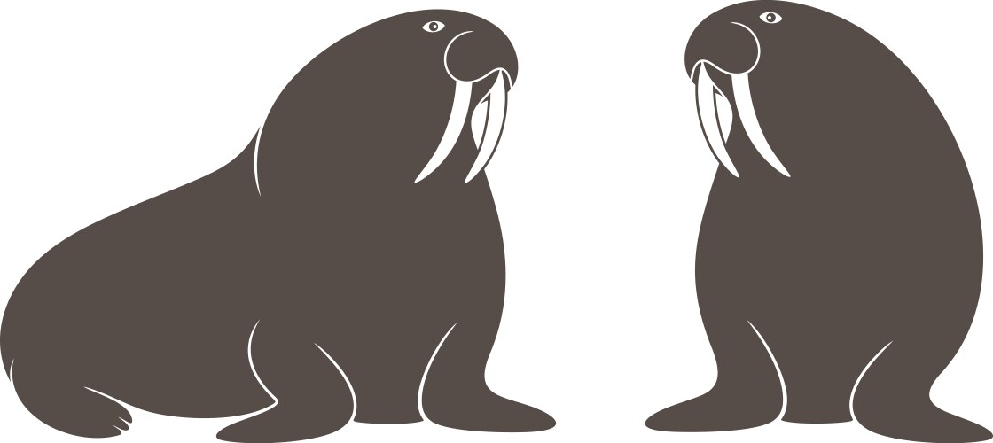 Walrus Vector Images (over 3,500)