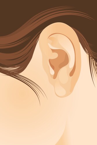 Ear Vector Images (over 200,000)