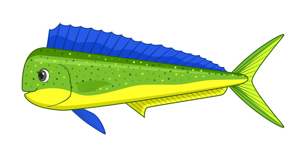 Murray eel fish on a white background Royalty Free Vector