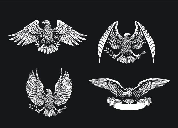 Bald Vector Images (over 21,000)