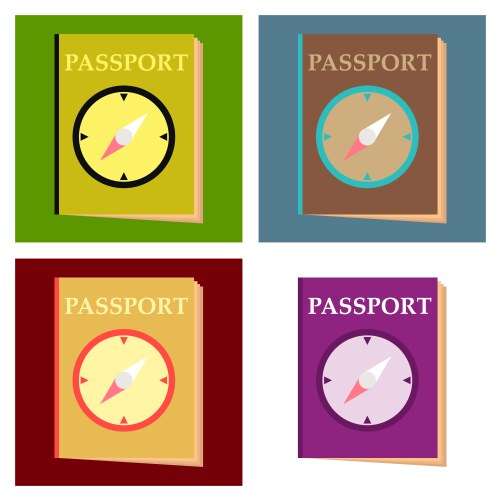 International passport template with sample Vector Image