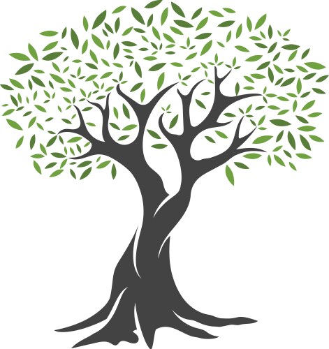 Olive tree Royalty Free Vector Image - VectorStock