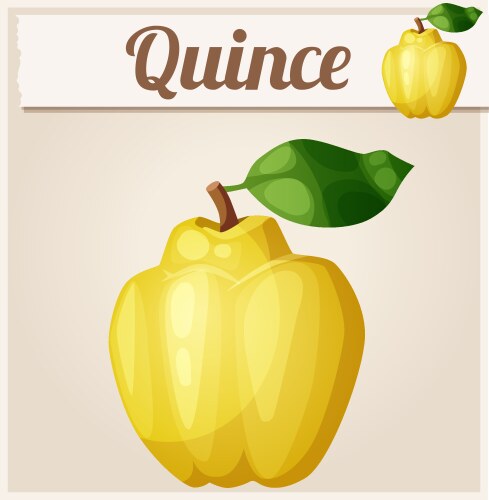 Quince cartoon isolated Royalty Free Vector Image