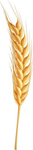 Wheat Vector Images (over 130,000)