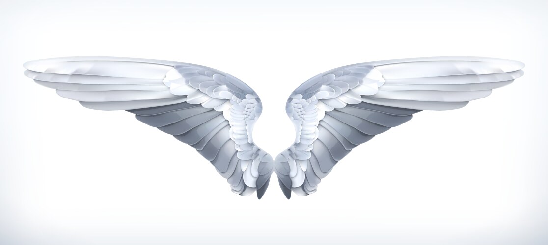 Wings Vector Images (over 420,000)