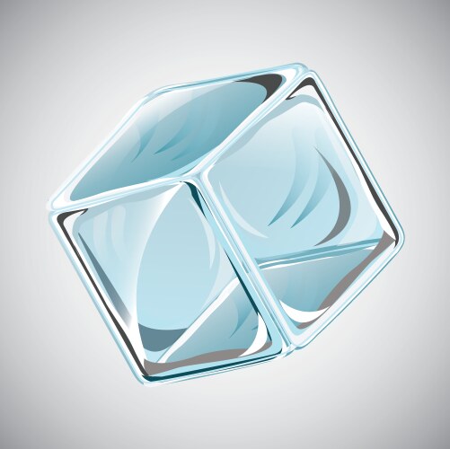 Single ice cube isolated on a white background Vector Image
