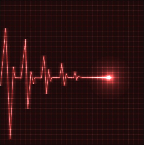 Electrocardiogram red waves with heart symbol Vector Image