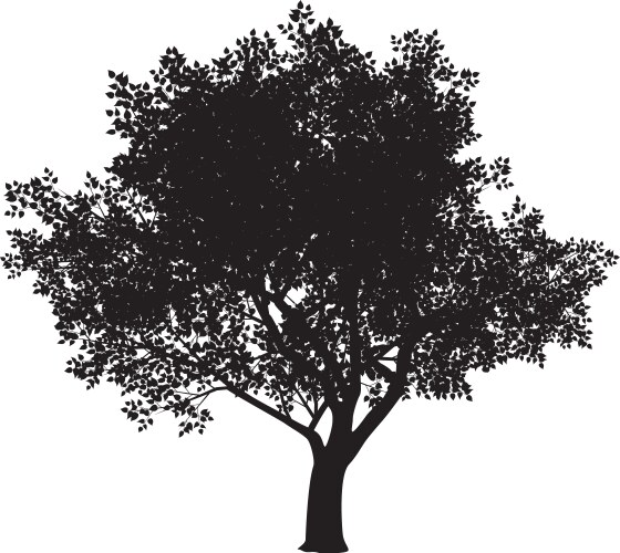 Tree Silhouette Vector Images (over 290,000)