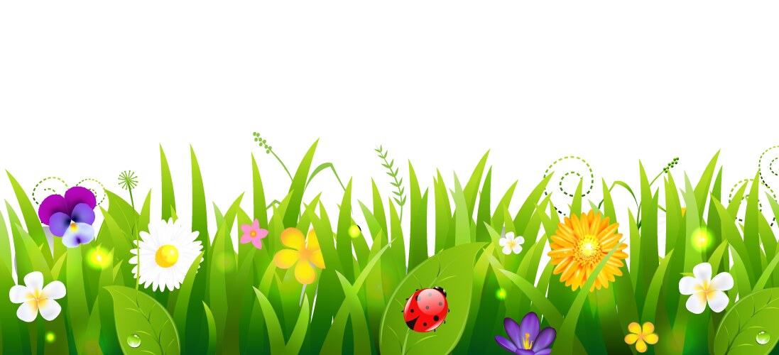 Grass and chamomile Royalty Free Vector Image - VectorStock