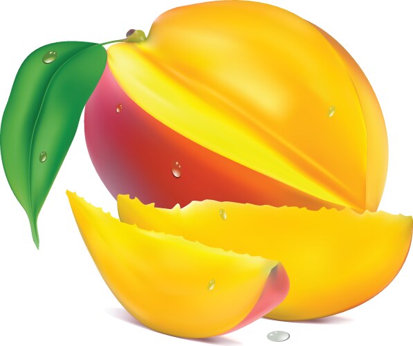 Mango Vector Images (over 21,000)
