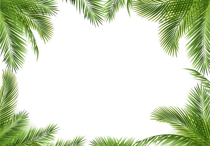 Palm tree border isolated transparent background Vector Image