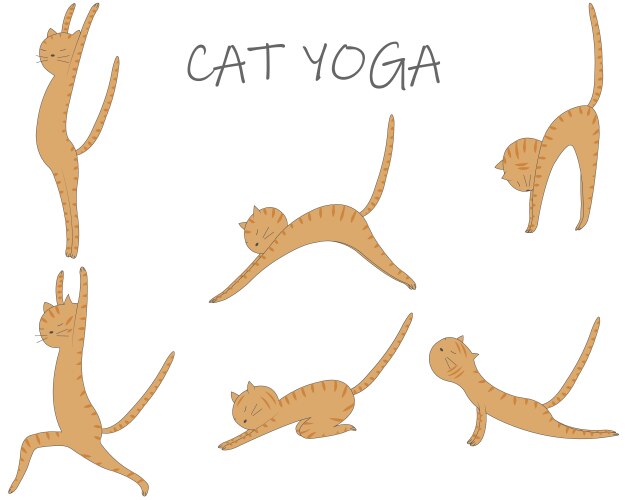 Yoga Cat Vector Images (over 1,400)