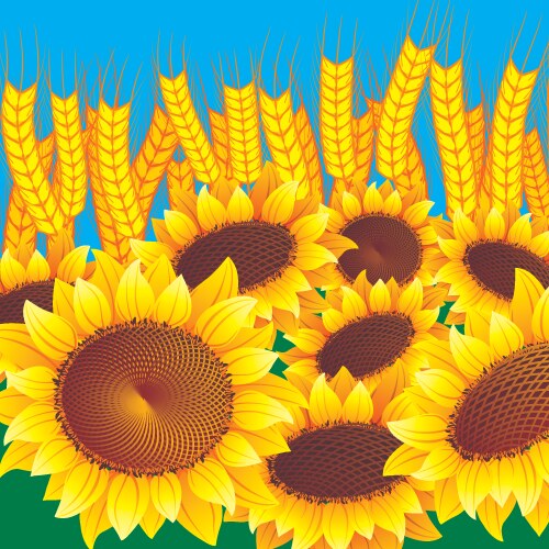 Sunflowers Vector Images (over 47,000)