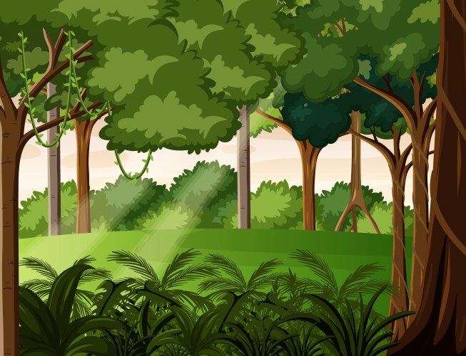 Nature forest landscape background Royalty Free Vector Image