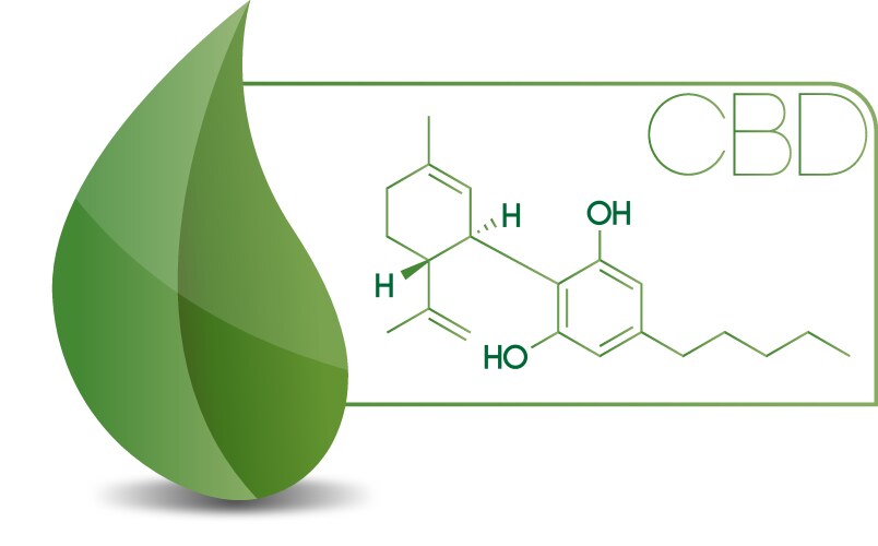 Cbd cannabidiol - three leaf Royalty Free Vector Image