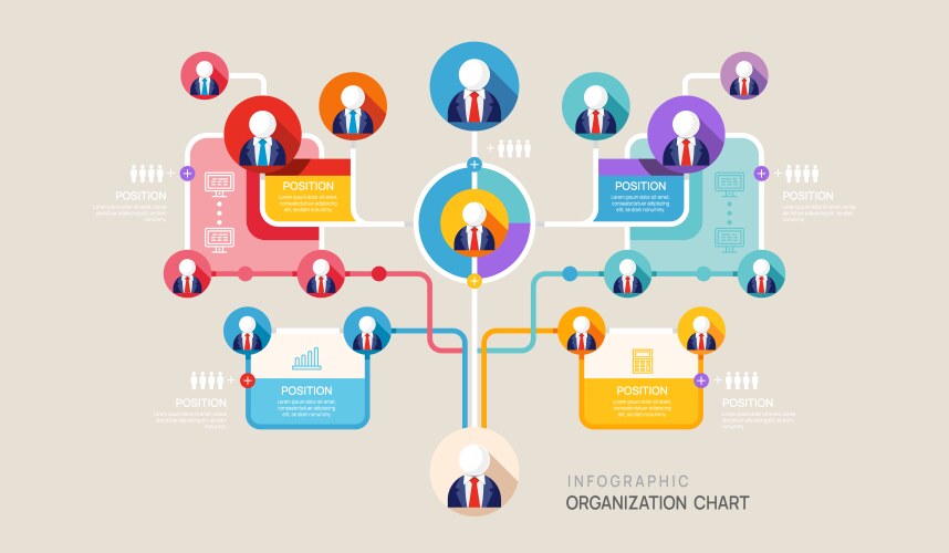 Organizational chart corporate business hierarchy Vector Image