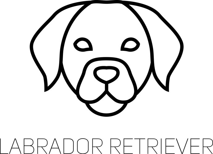 Labrador Outline Vector Images (over 4,400)