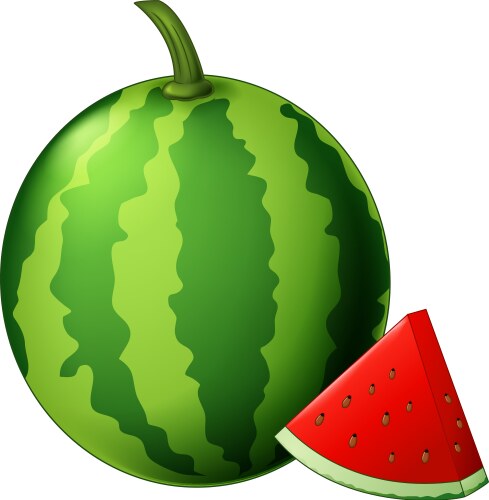 Watermelon Cartoon Vector Images (over 23,000)