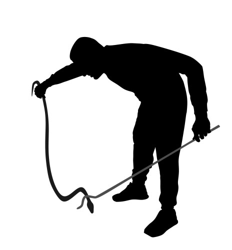 Snake Stick Vector Images (over 400)