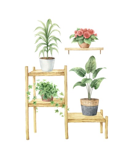 Watercolor aesthetic room decor and indoor plants Vector Image