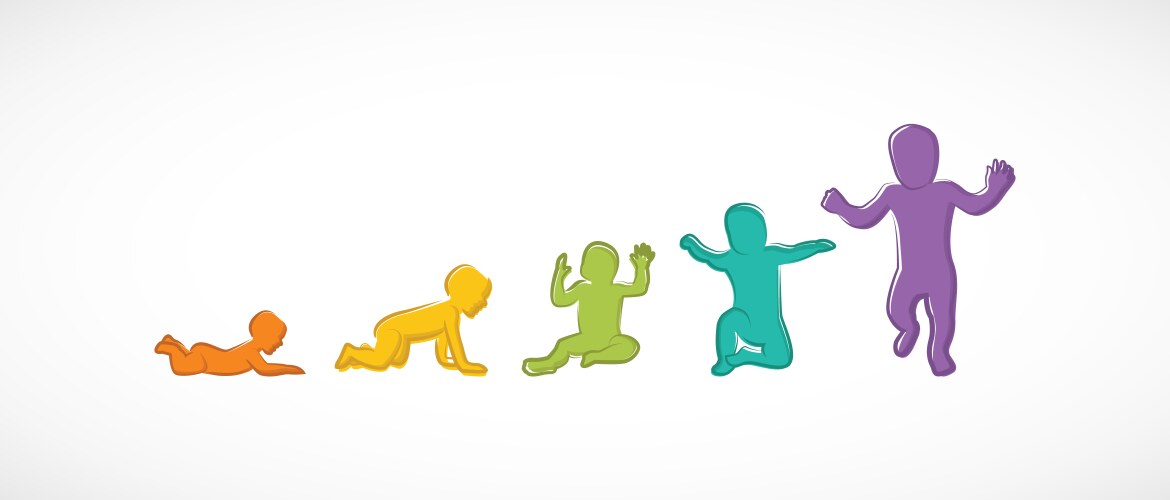 Baby development stages milestones first one year Vector Image