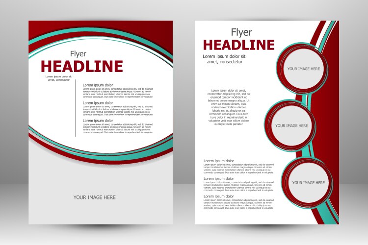 Membership brochure template layout Royalty Free Vector