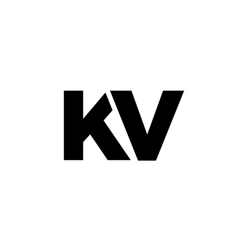 Letter v and b vb logo design template minimal Vector Image