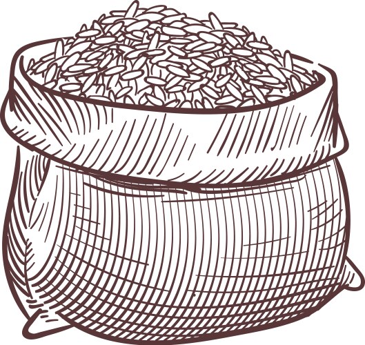 Rice pile with wooden ladle grain engraving Vector Image