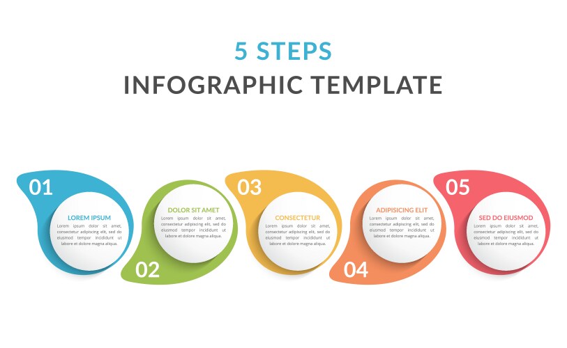 5 step option infographics Royalty Free Vector Image