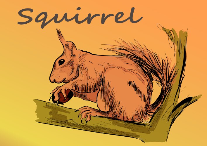 Squirrel Vector Images (over 27,000)