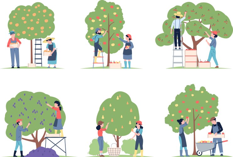 Picking Apples Vector Images (over 1,400)