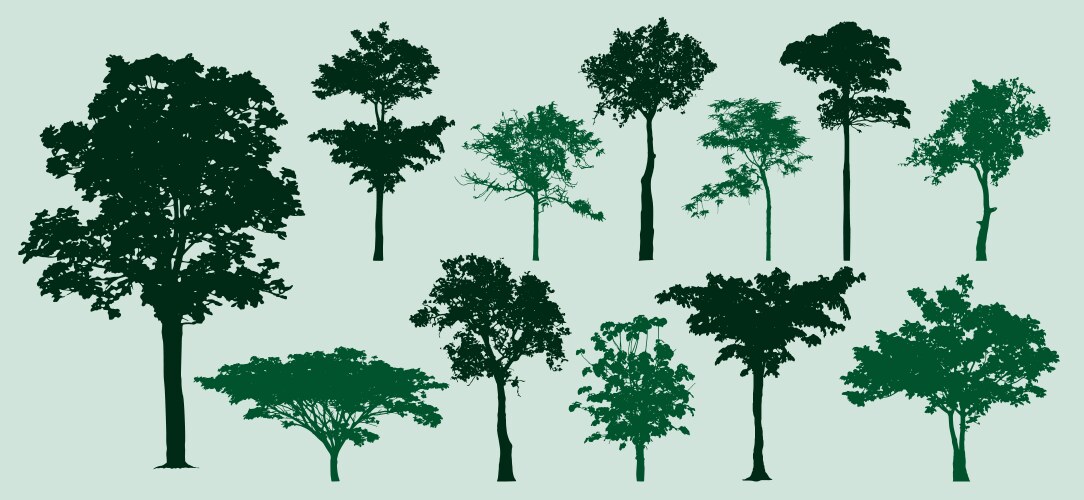 Tree Drawing Vector Images (over 260,000)